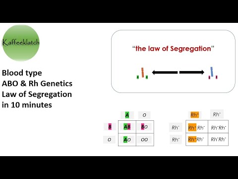 Blood type ABO and Rh Genetics : Law of Segregation - YouTube