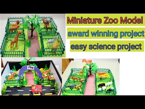 3 different zoo model making easy for nursery school project - YouTube
