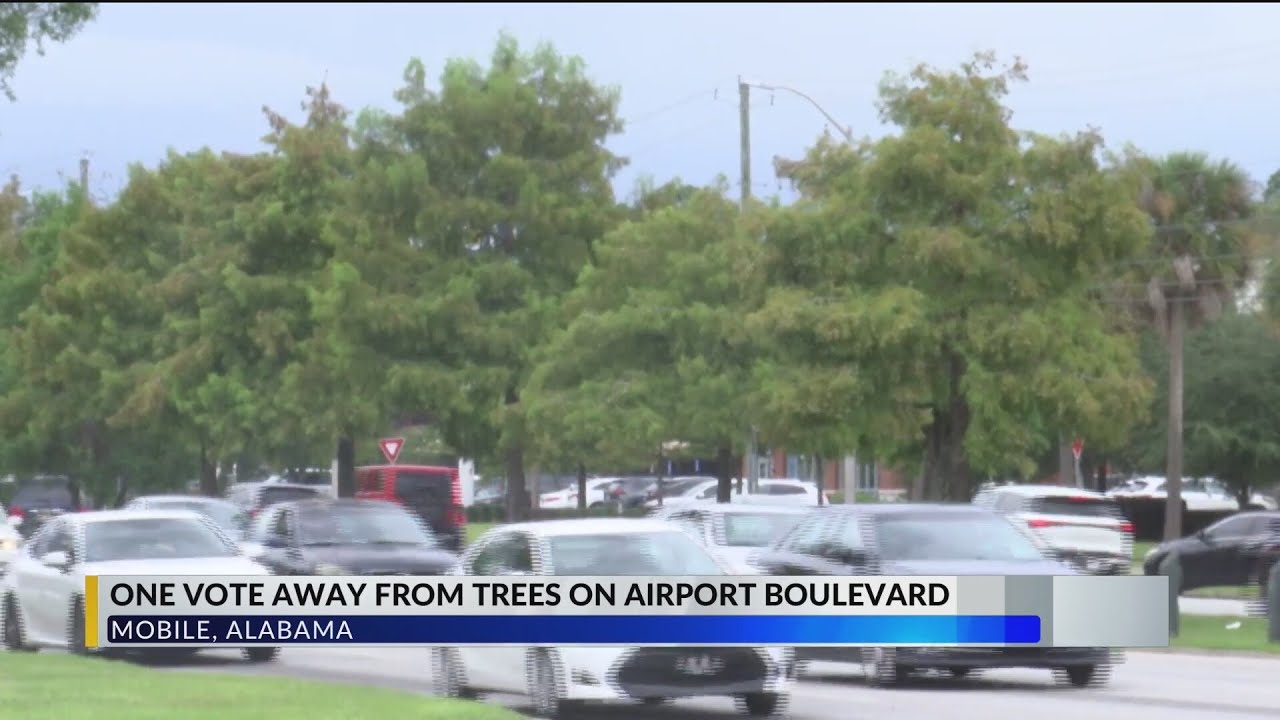 Friends of Mobile Trees pushing to plant trees along Airport Boulevard ...