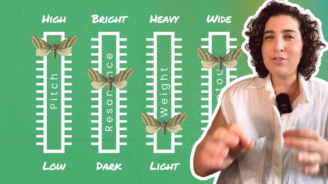 Use this tool to describe your trans voice! - YouTube