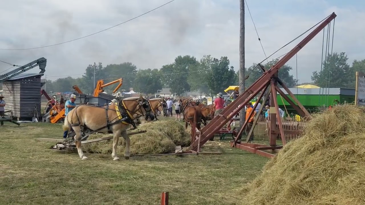 Using horses to move and stack hay 2022 Midwest Old Threshers Reunion ...