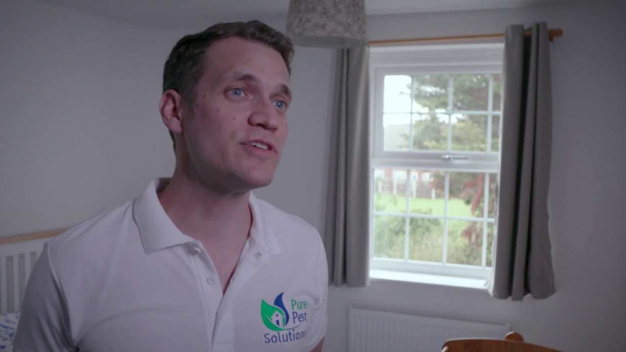 Pure Pest Solutions talks Bed Bug Heat Treatments - YouTube