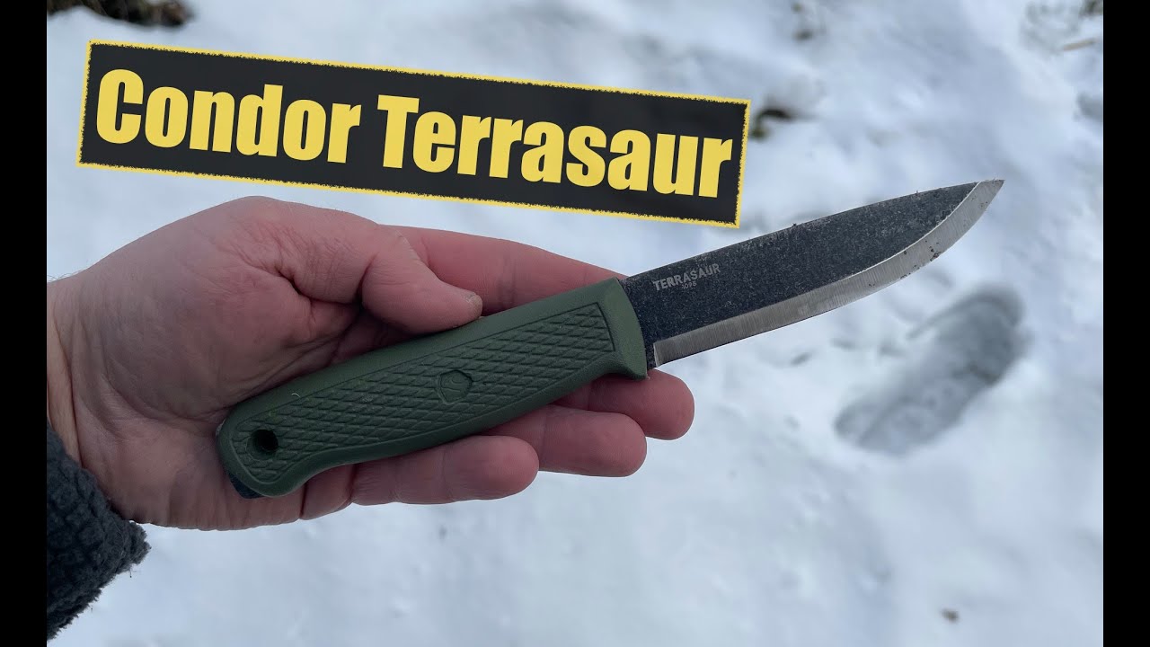 Condor Terrasaur im Test - erster Eindruck - YouTube