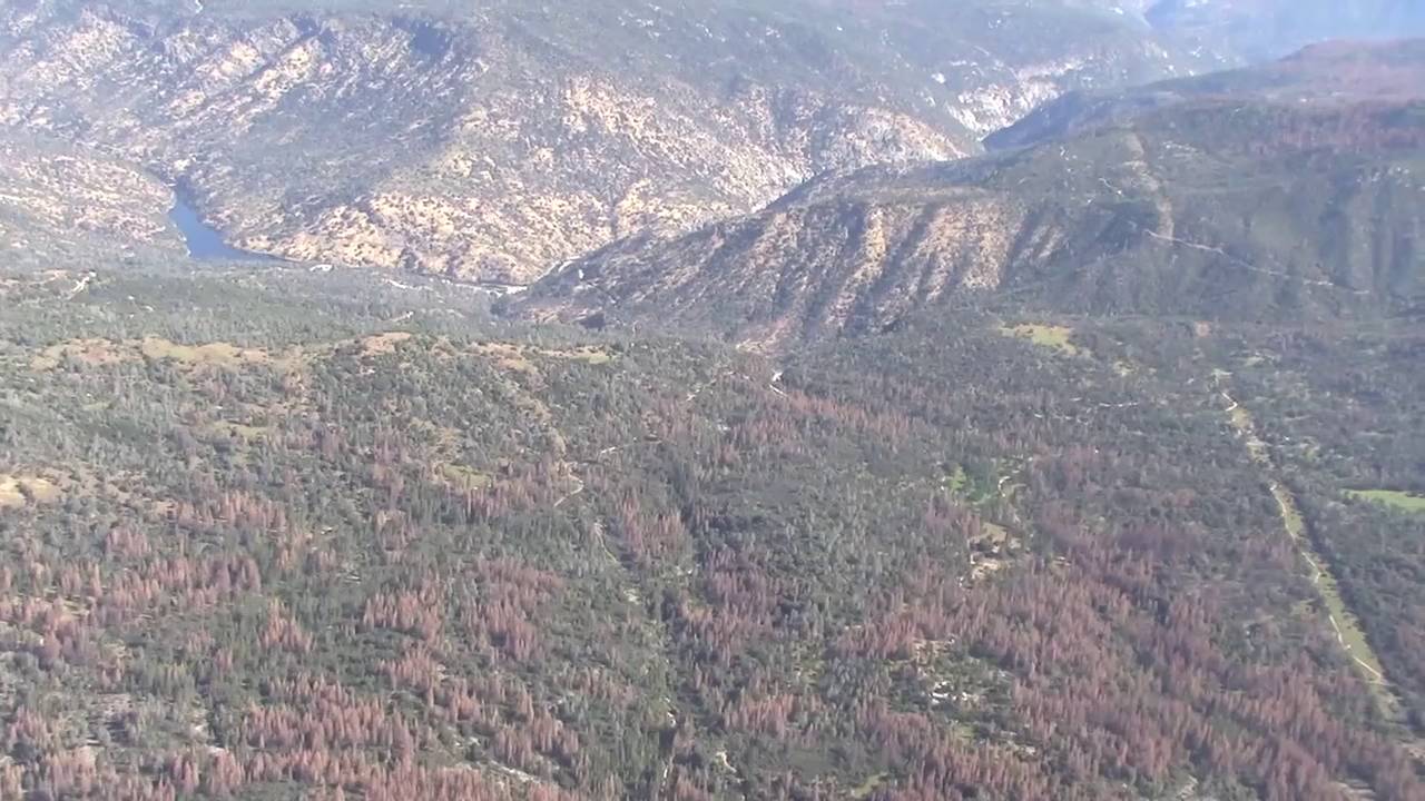 USFS tree mortality aerial survey May 2016 - YouTube