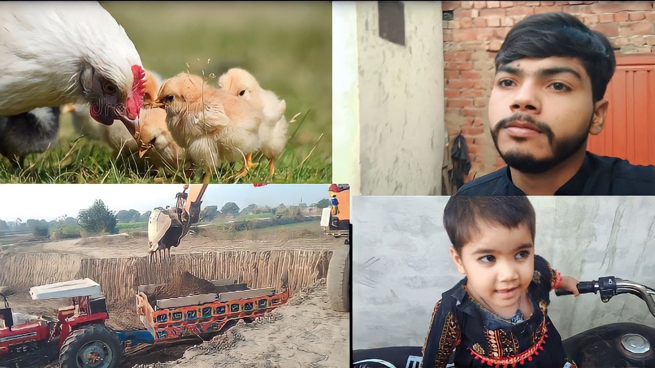 aj me nea animals ke lea food uota kr laya to mere grden pa pain ho nea ...