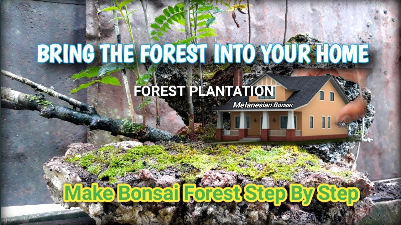BONSAI FOREST TUTORIAL For Beginners - GROUPING BONSAI - YouTube