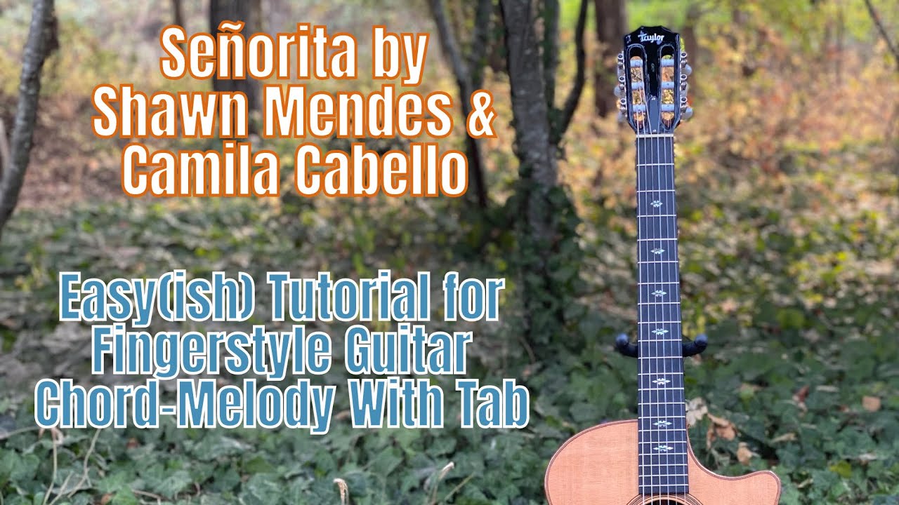 Señorita - Shawn Mendes/Camila Cabello - Easy(ish) Tutorial Guitar ...