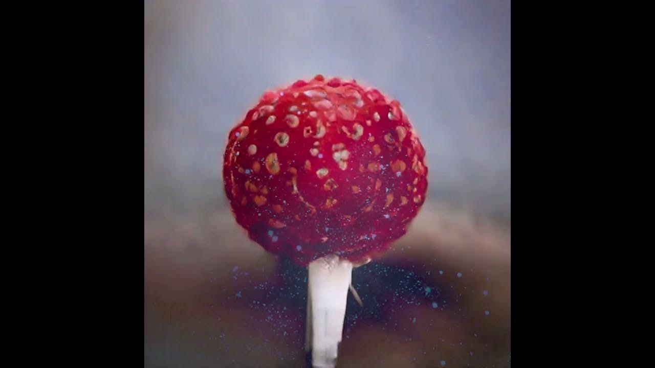 Space Love - Music NFT for cXc Collection Holders - YouTube Music