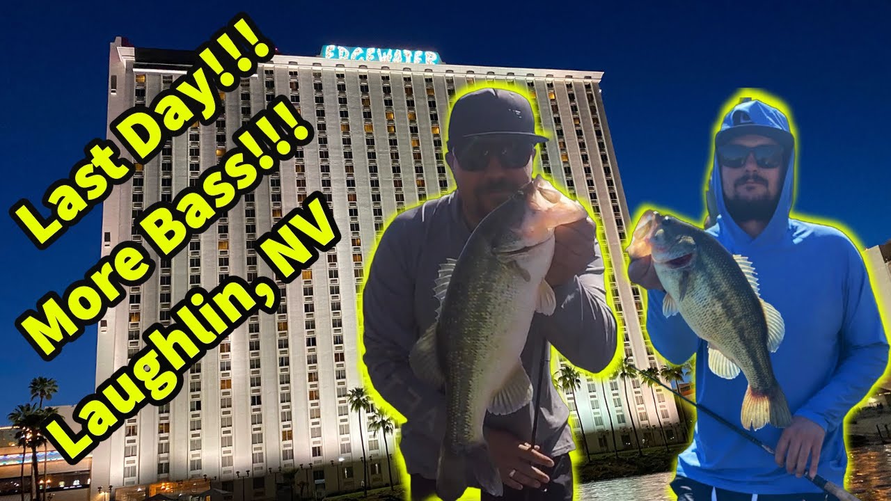 Laughlin Afternoon Day 2 : River Bass (Bass hiding from the Sun ...