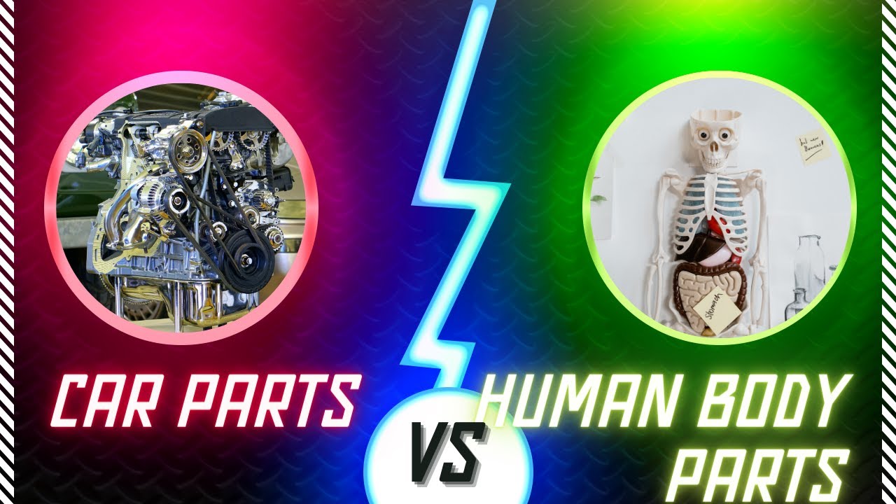Understanding the Similarities between Your Heart and a Car Engine ...