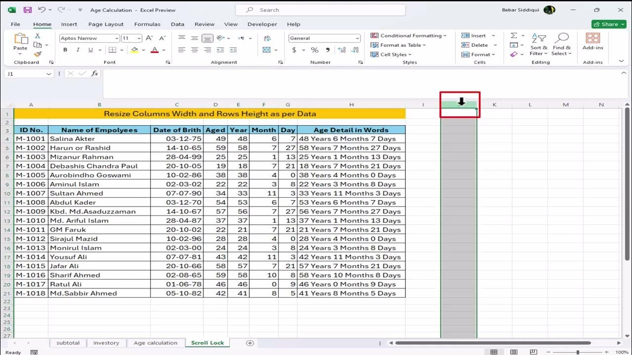 Set Scrolling Area in Excel | Limit Visible | Two Simple Methods - YouTube