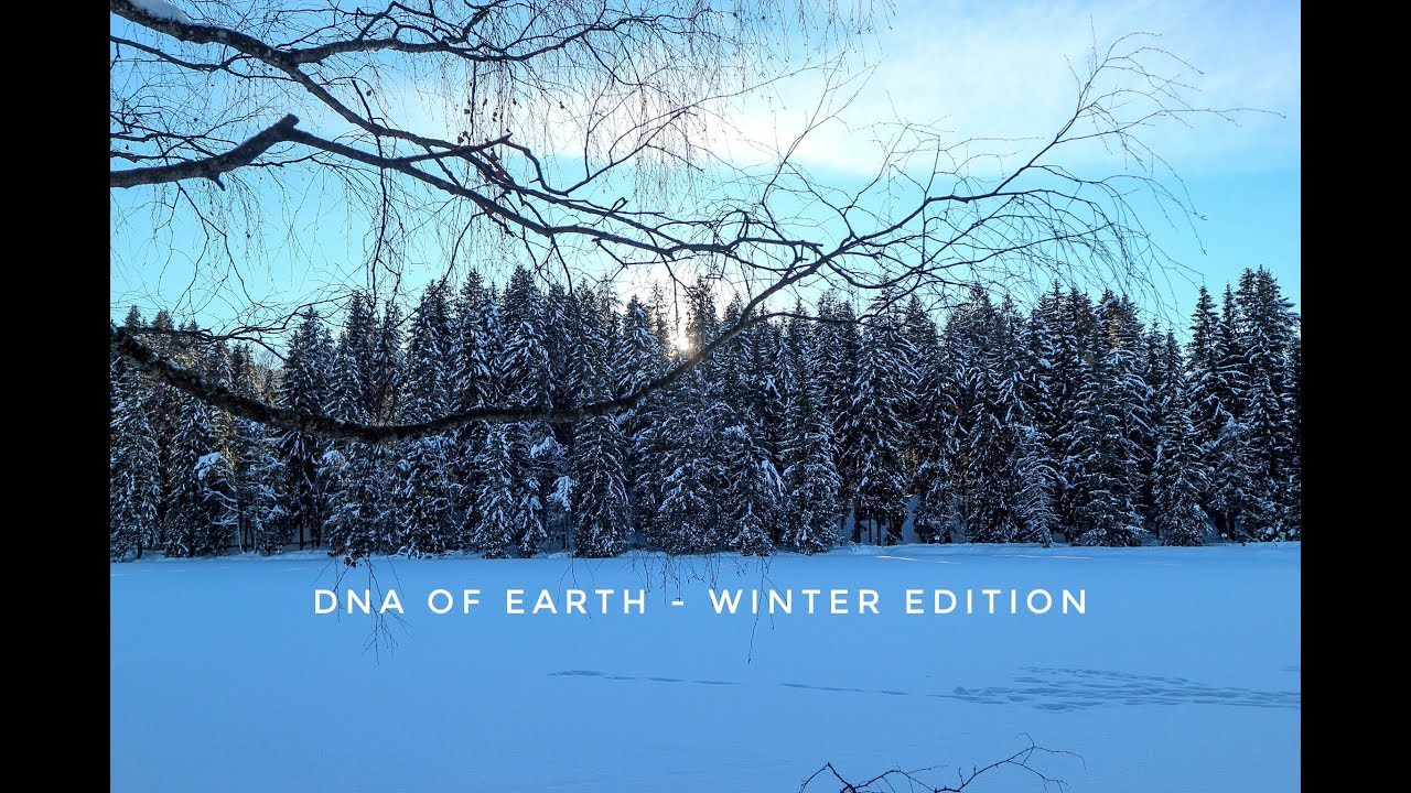 DNA OF EARTH - WINTER EDITION - YouTube