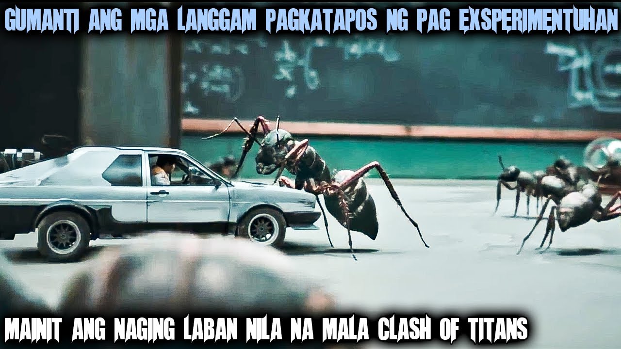 Gumanti Ang Mga Langgam Pagkatapos Silang Pag Laruan Ng Mga Tao - YouTube