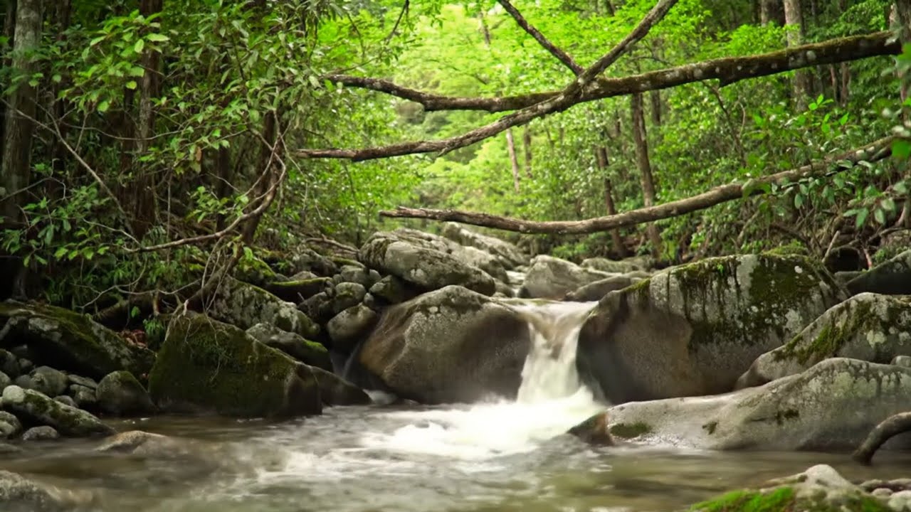 Sleep Instantly with Small Waterfall | Nature Water Sounds for Calm ...