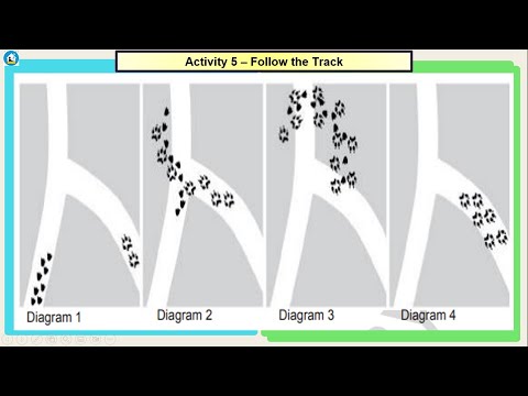Science 10 - Follow the Track ( Students Output) - YouTube