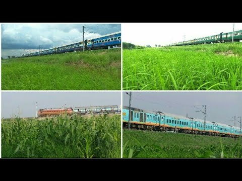 TRAIN'S THROUGH GREEN FIELD'S | TRAINS BEHIND GREENERY SCENES | 13K ...