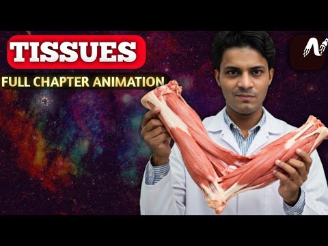 Tissue one shot class 9 | Tissues one shot class 9 (animation) | Tissue ...