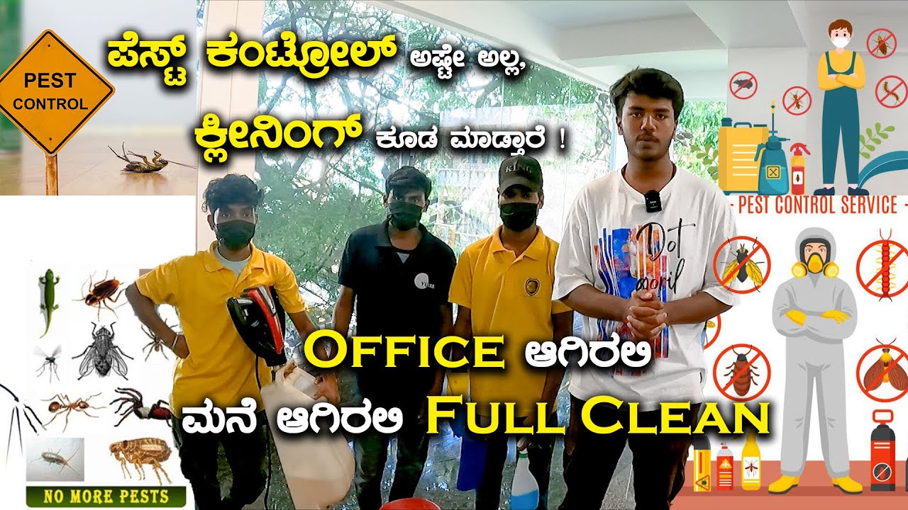 Pest Control Service in Bangalore | Home Services in Bangalore | Garden ...