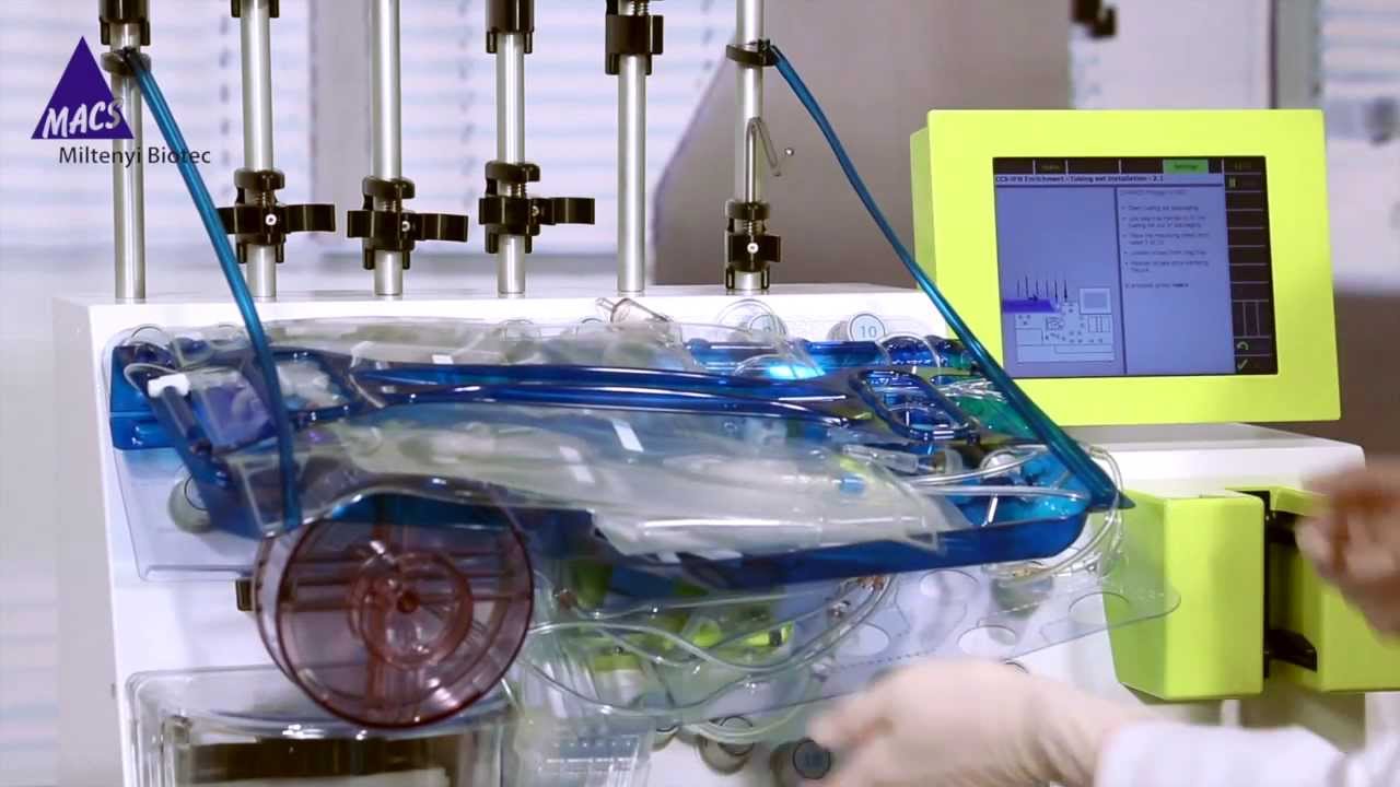 How to Isolate Antigen-Specific T Cells for Adoptive T Cell Therapy ...