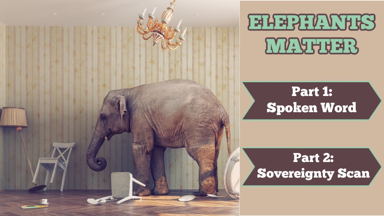 Elephants Matter - YouTube