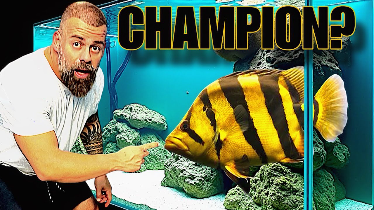 THE MOST EXPENSIVE FISH COMPETITION IN THE WORLD!!! PART 1 - YouTube