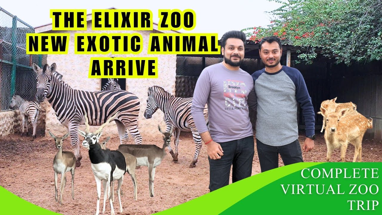 @jimmy-junaid Ka Hidden Zoo in Karachi 2024 | The Elixir Zoo | Full ...