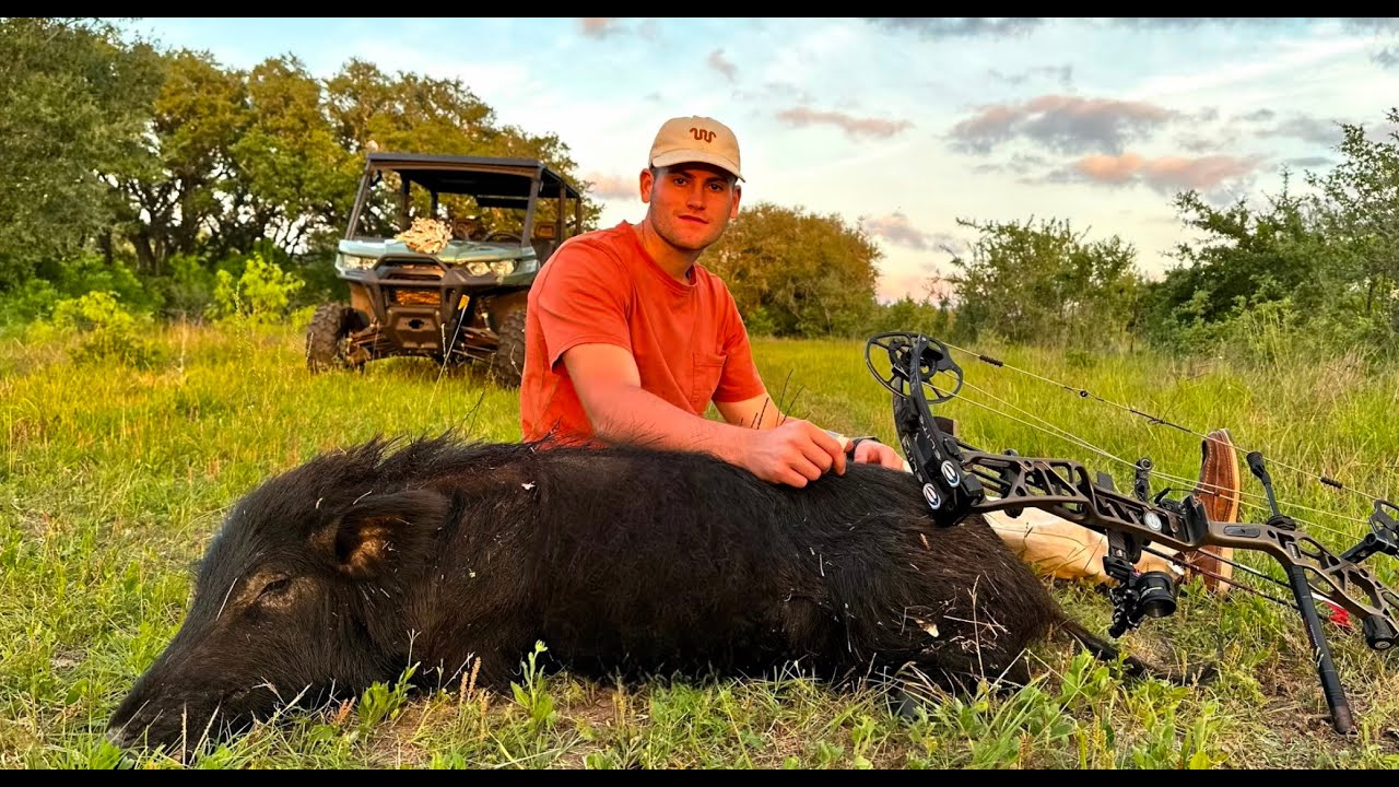 SOUTH TEXAS HOG HUNT WITH BOW - YouTube