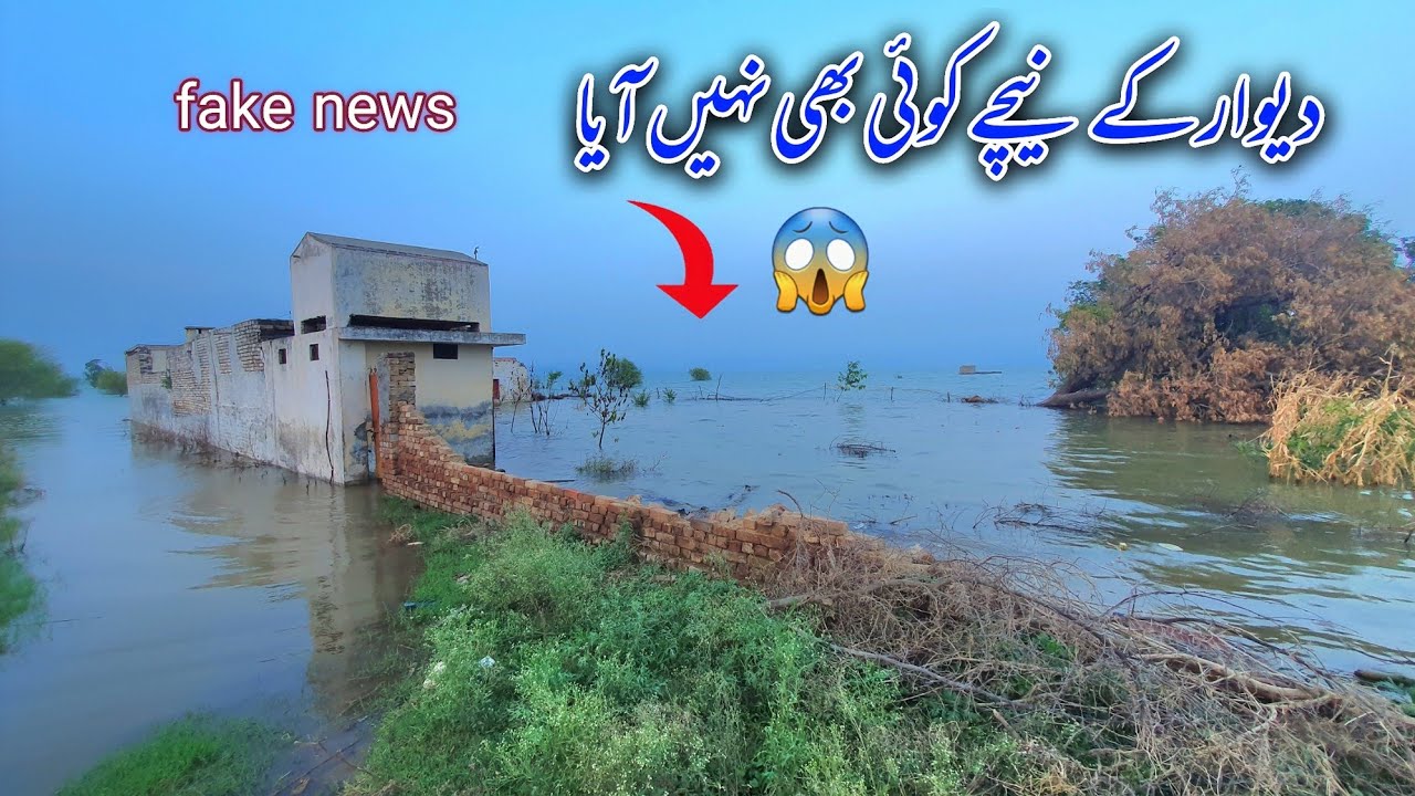 Nobody came under the wall | Village Video | Potha Sher | Status Lines ...
