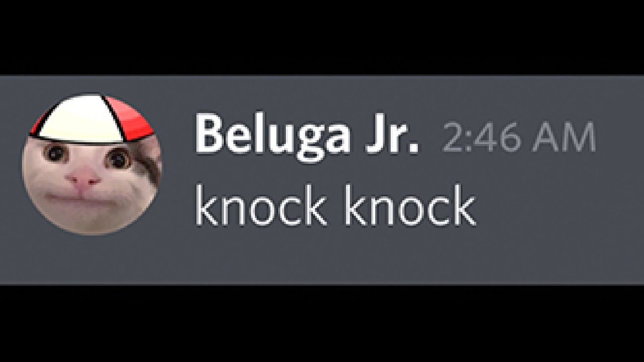 Beluga Jr. tells a funny joke... - YouTube