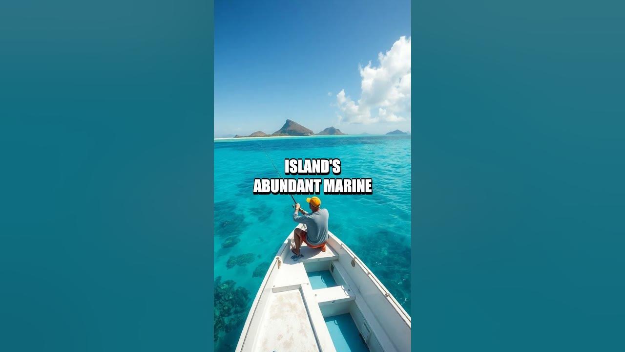 Deserted Island Survival: Thriving in Isolation - YouTube