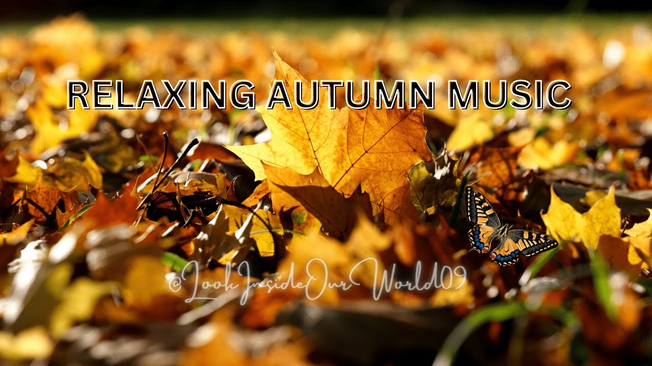 Cozy Autumn Vibes 🍂 Relaxing Fall Music for Stress Relief ~ Calm Your ...