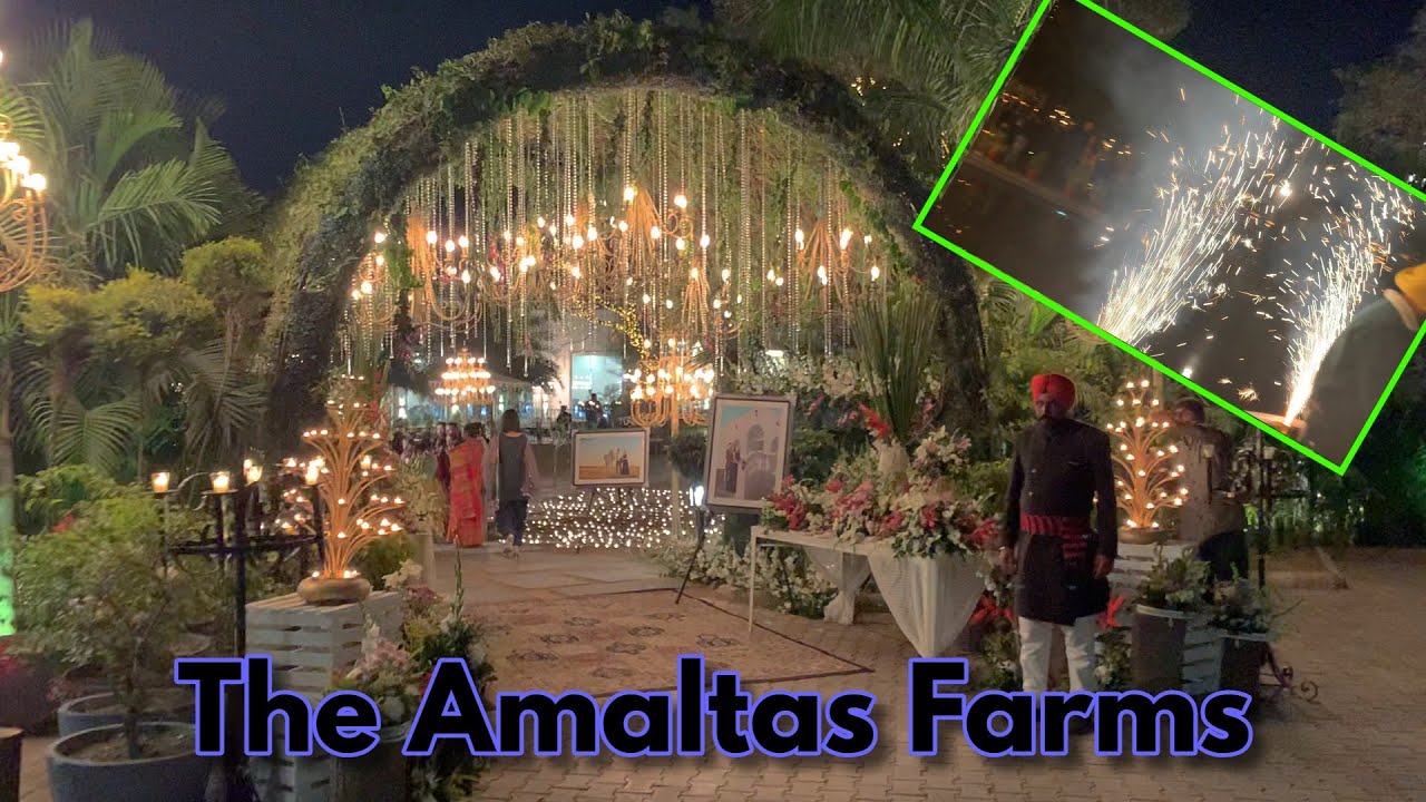 Reception Party @ The #Amaltas Farms | #PujaSandyVlogs - YouTube