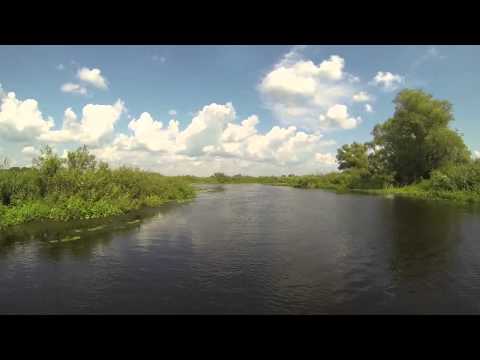 Pripyat River (August, 2013)