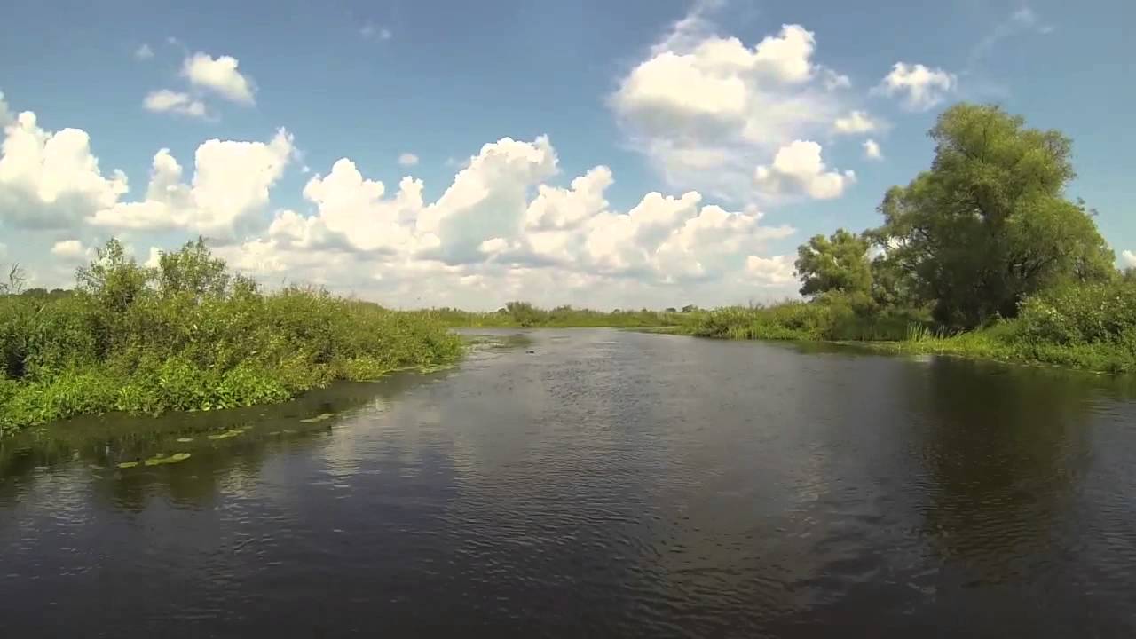 Pripyat River (August, 2013) - YouTube
