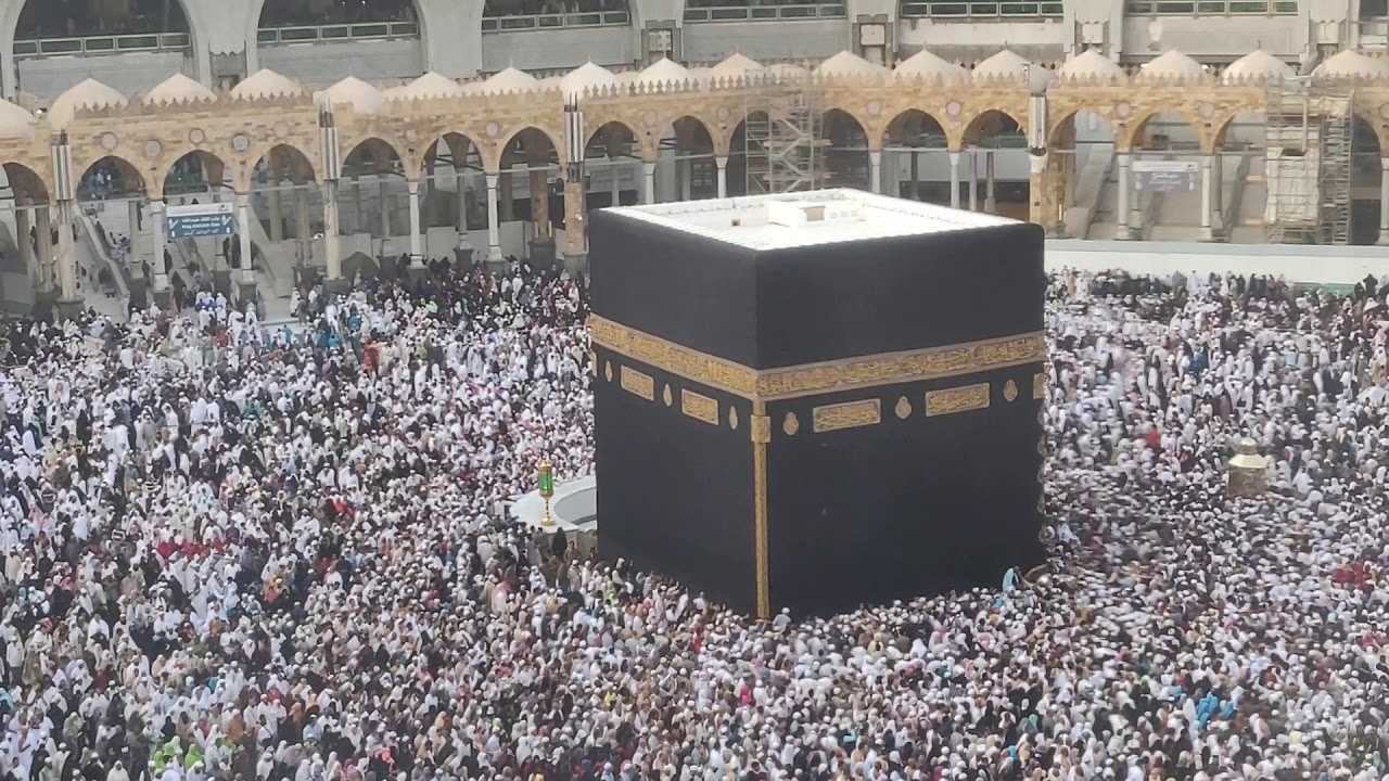 Holy Kaba_ This videos created by Oneplus (McLearn Edition) Mobile ...