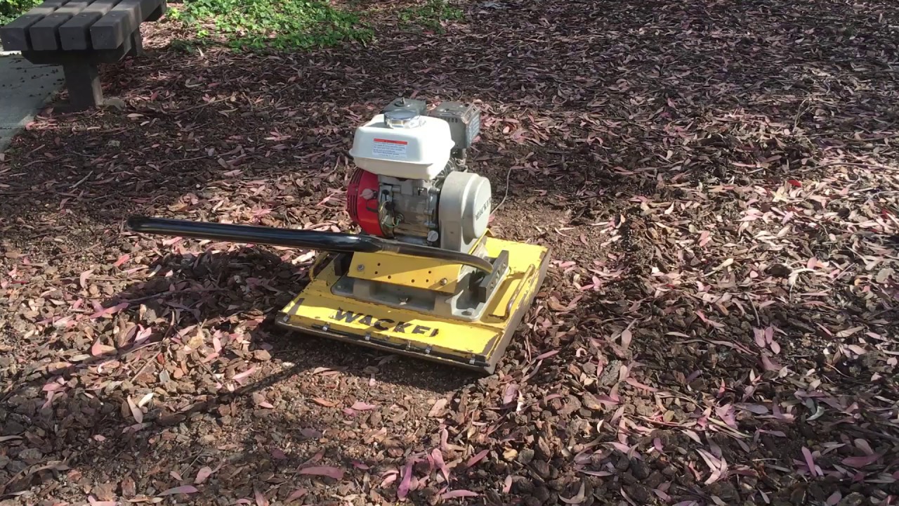 Wacker Walk Behind Plate Compactor Packer Tamper 4.0 HP Honda Gas ...