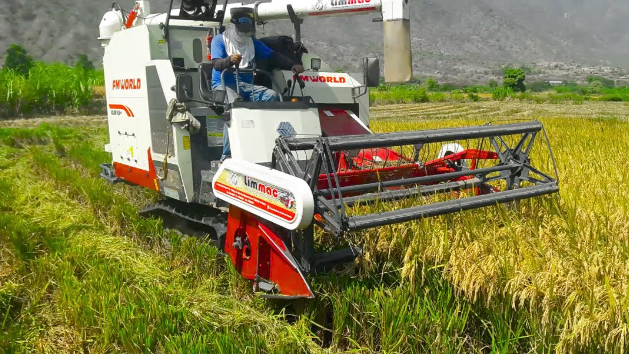 Maquina Cosechadora de Arroz FM WORLD ruilong plus - Cosechando Arroz ...