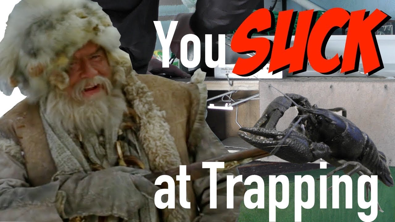 Mink the Biggest Predator of Crayfish and Koi! - YouTube