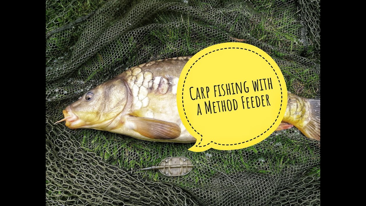 Matts Country - Carp Fishing Method Feeder The Basics by an Amateur ...