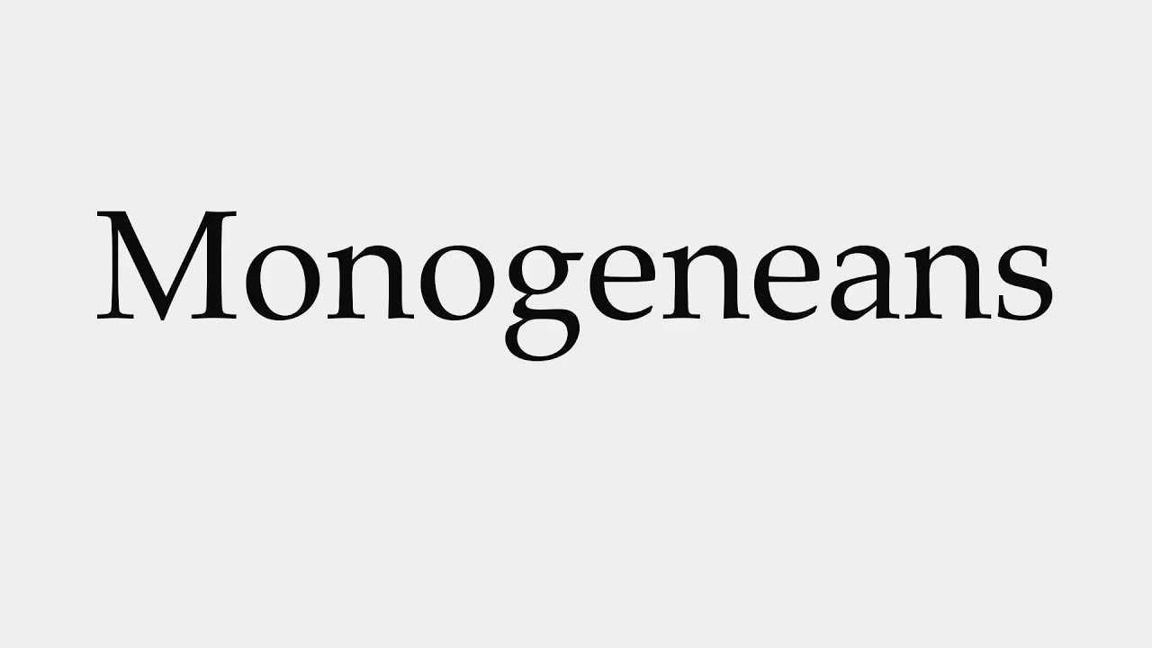 How to Pronounce Monogeneans - YouTube