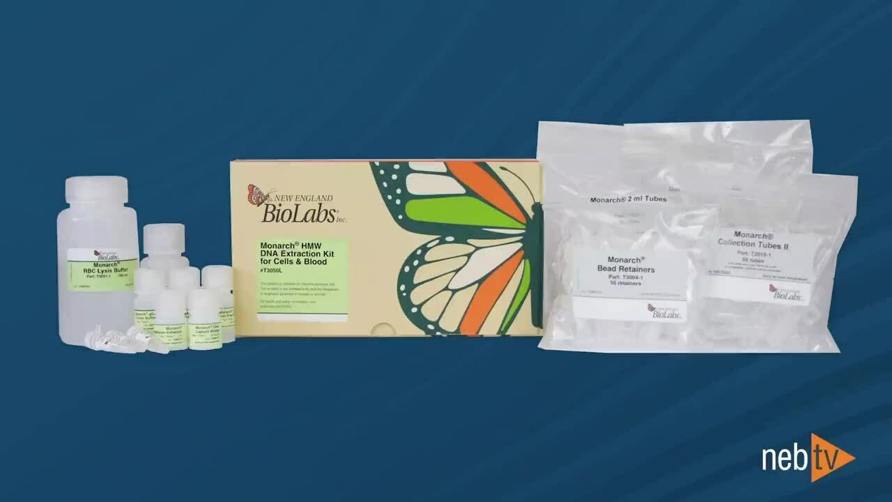 Tips for HMW DNA Extraction from Blood Samples with the Monarch kit ...