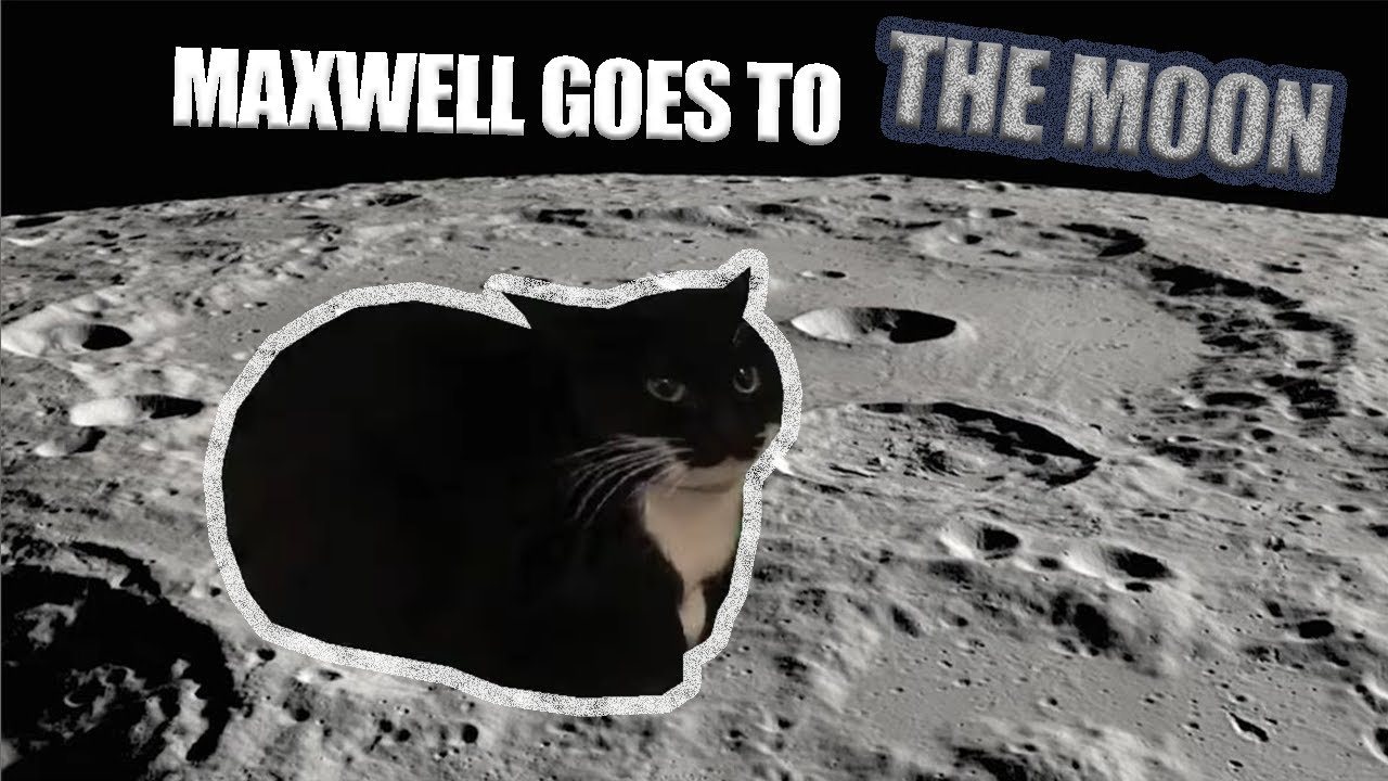 Maxwell goes to the moon - YouTube
