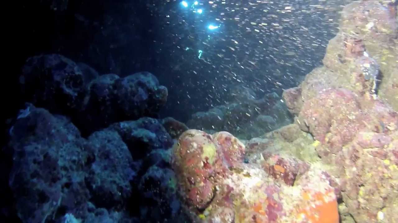 GoPro - Diving Jackfish Alley - YouTube