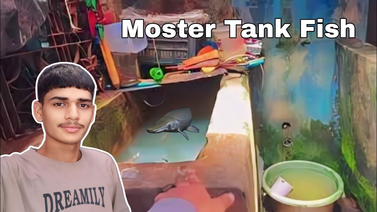 Moster Fish || Alligator Gar Fish Tank || Molly Fish 4k video || Guppy ...