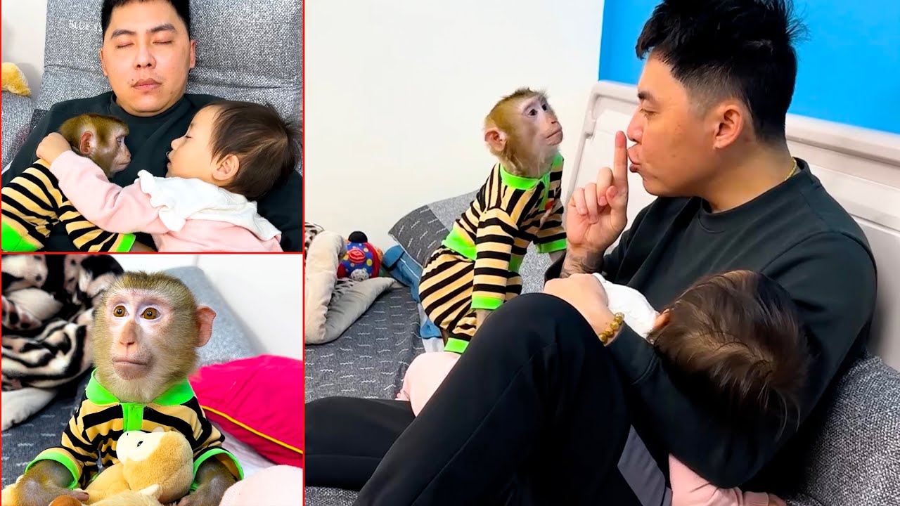 Dad hugs Monkey Kaka to sleep when sees Kaka sad and alone - YouTube