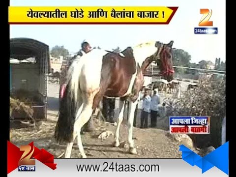 Yeola : Famous Horse And Bull Market - YouTube