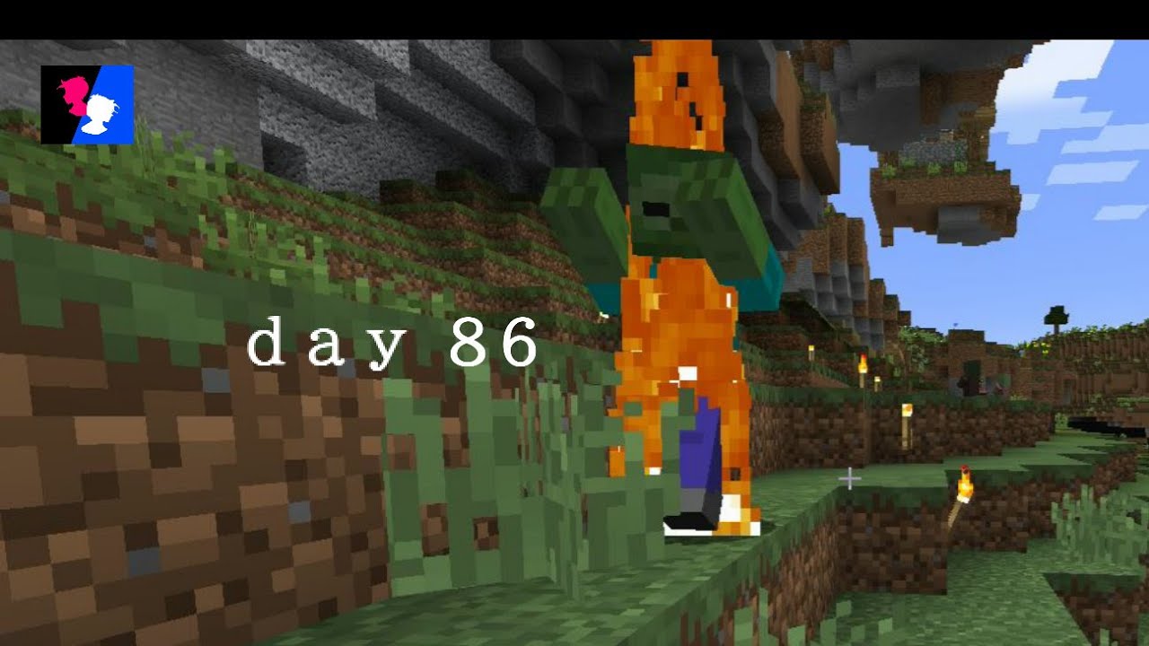 【Minecraft JavaEdition day86】 マイクラでBGM無しの無言サバイバル実況を始めてみました 86日目（仮） - YouTube