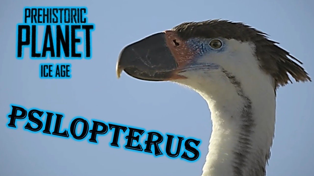 prehistoric Planet Ice age Psilopterus (terror bird) screen time - YouTube