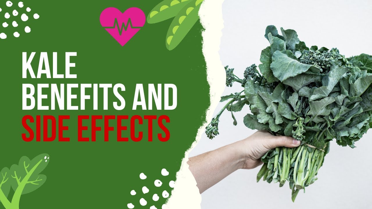 Kale Benefits and Side Effects: A Nutritional Powerhouse with a Few ...
