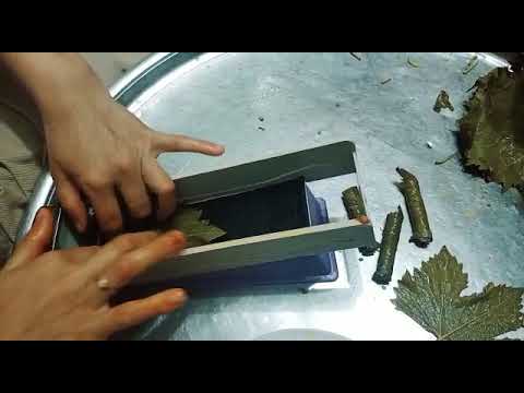 Yaprak Sarması Makinesi